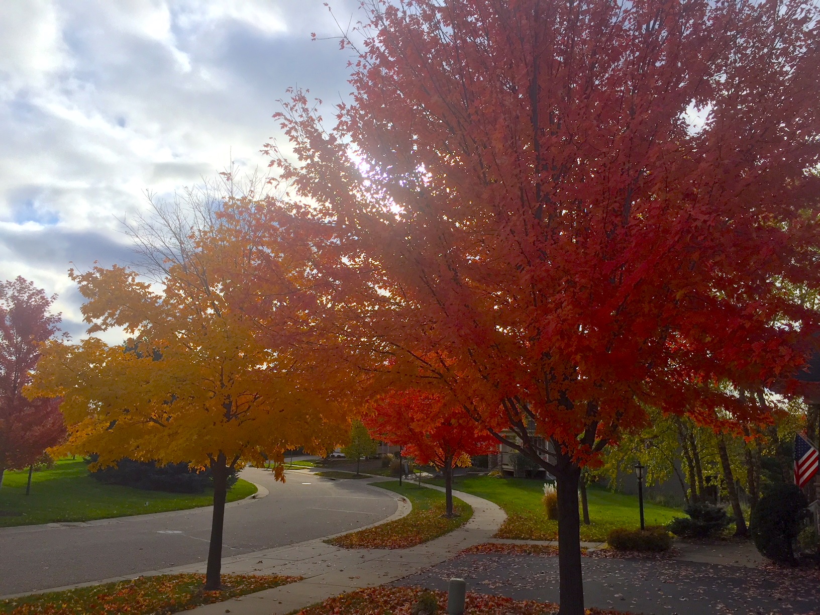 Fall colors are all over the place. (Click on any image to enlarge)